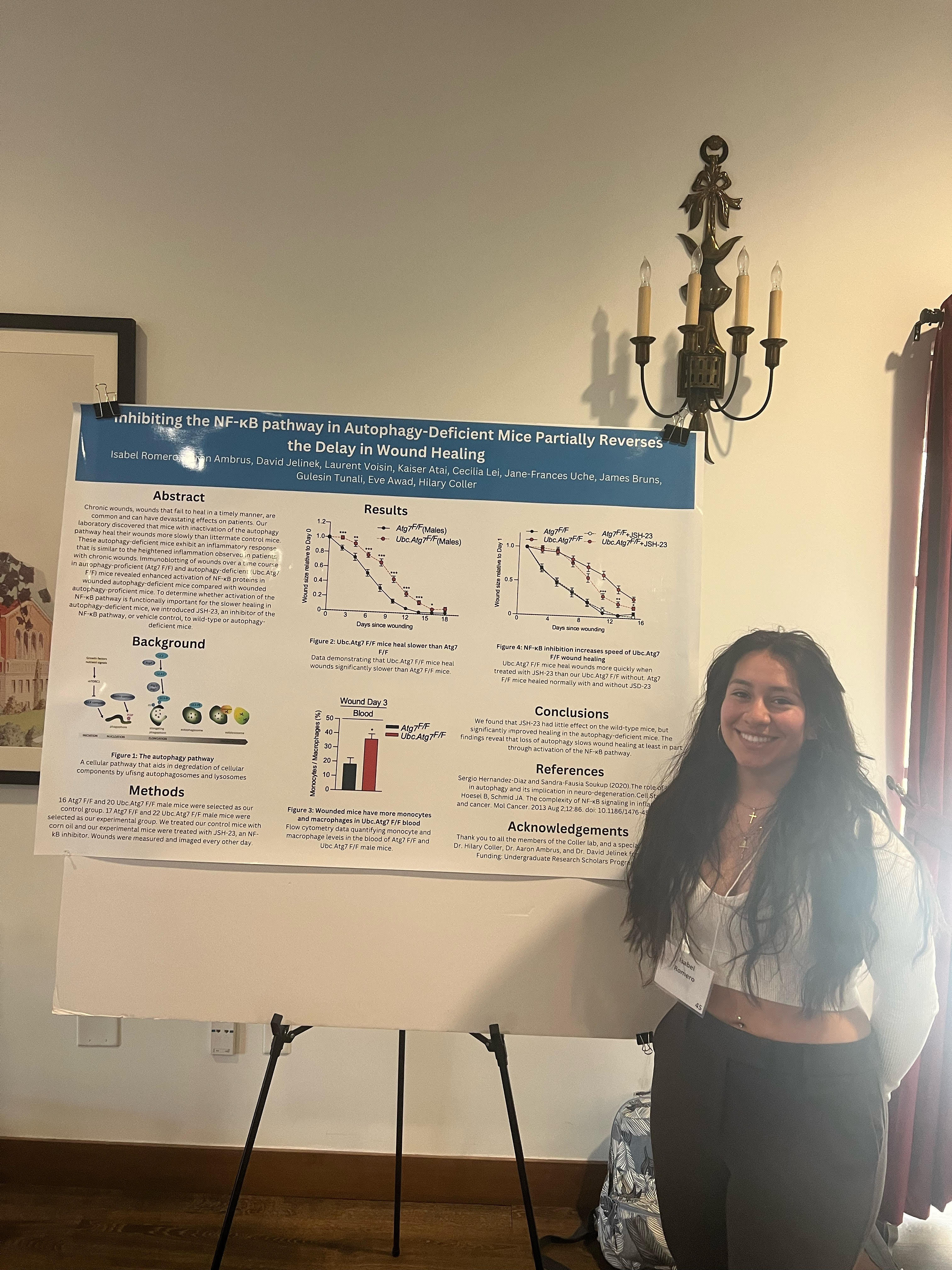 Photo Gallery | Coller Research Lab